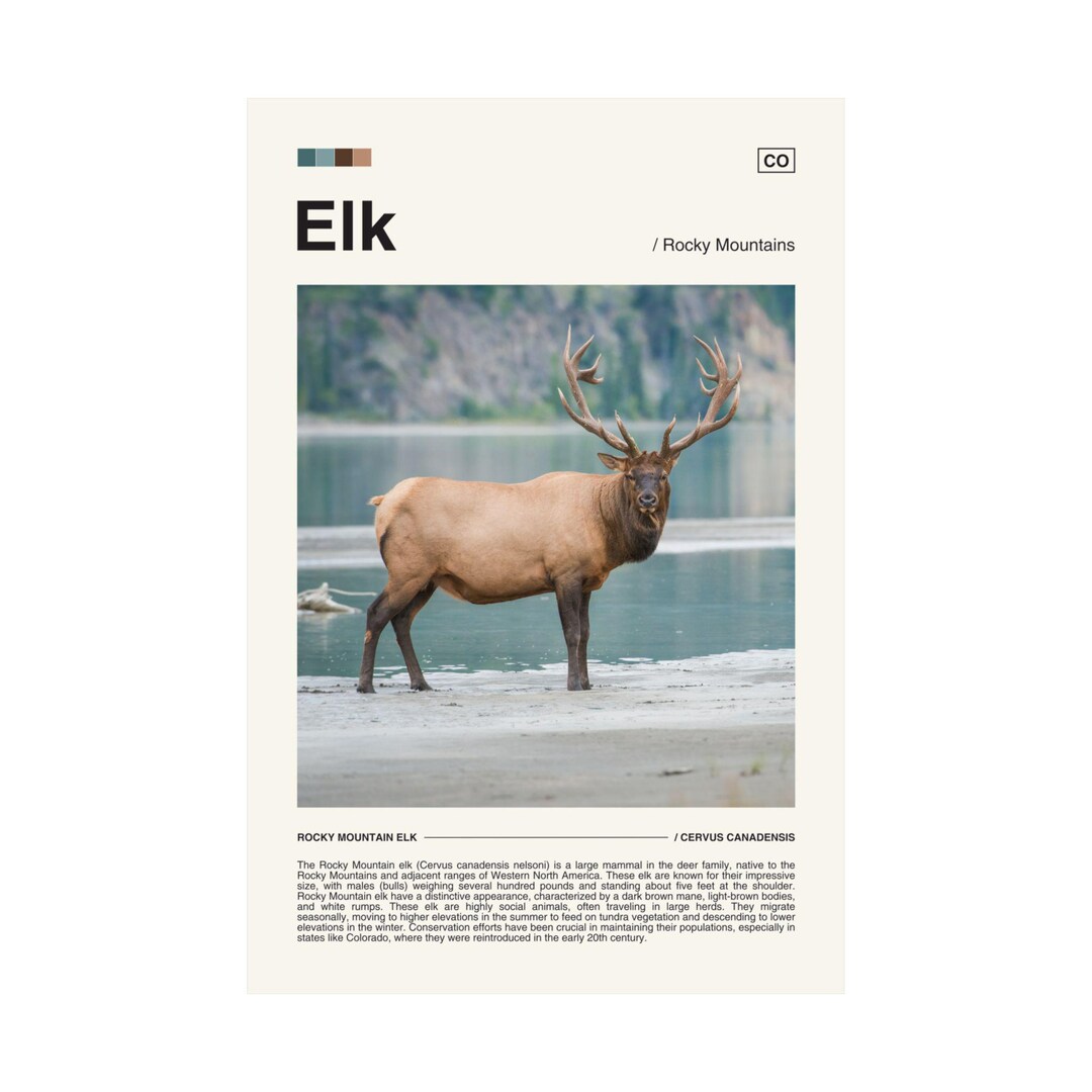Rocky Mountain Elk Digital Download, Elk Poster, Elk Print, Wildlife ...
