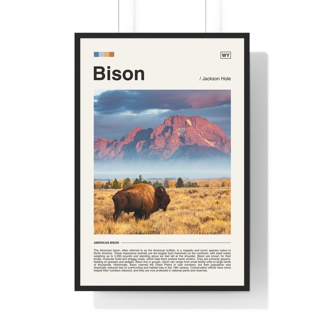 American Bison Poster, Wildlife Poster, Nature Poster, Bison Print, Wildlife Print, Nature Print ...