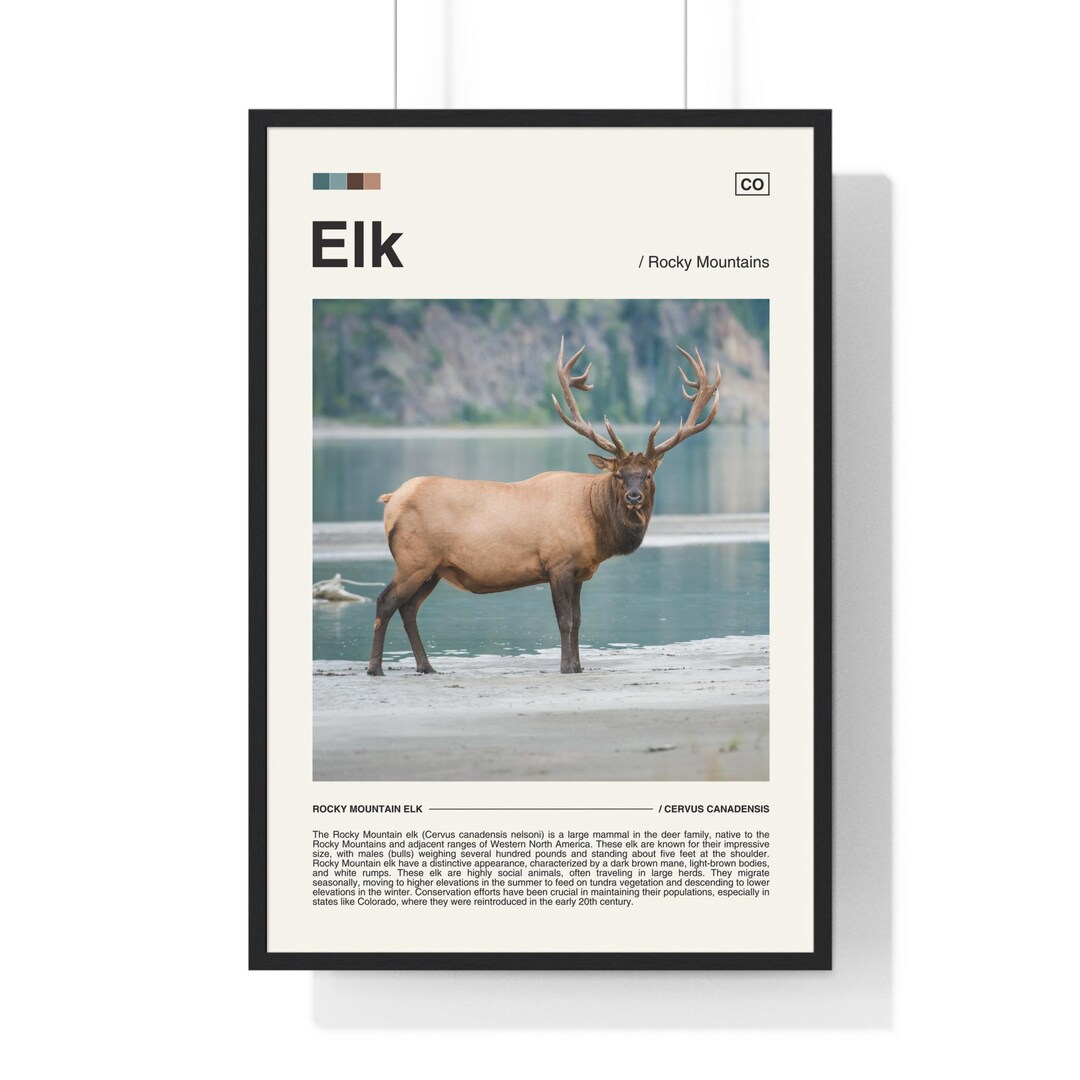 Rocky Mountain Elk Poster, Wildlife Poster, Nature Poster, Elk Print ...