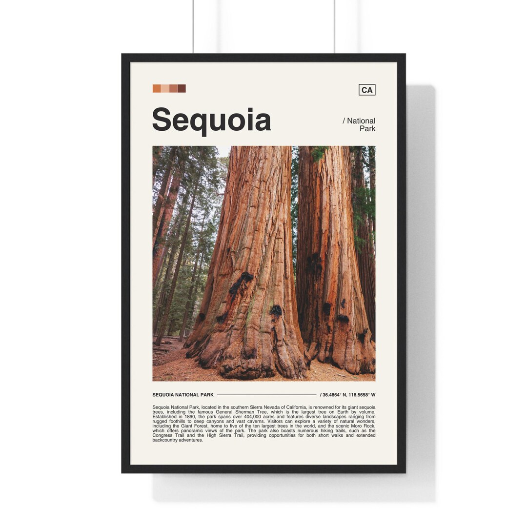 Sequoia National Park Travel Poster, Vintage Art Print - Etsy