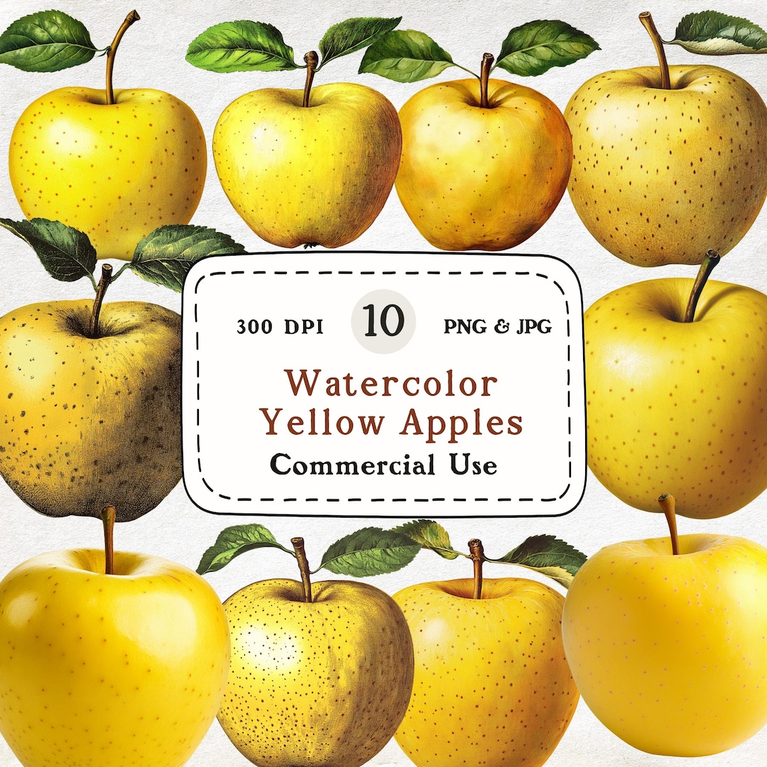 Watercolor Yellow Apple Clipart – Vintage Orchard Illustrations (PNG ...