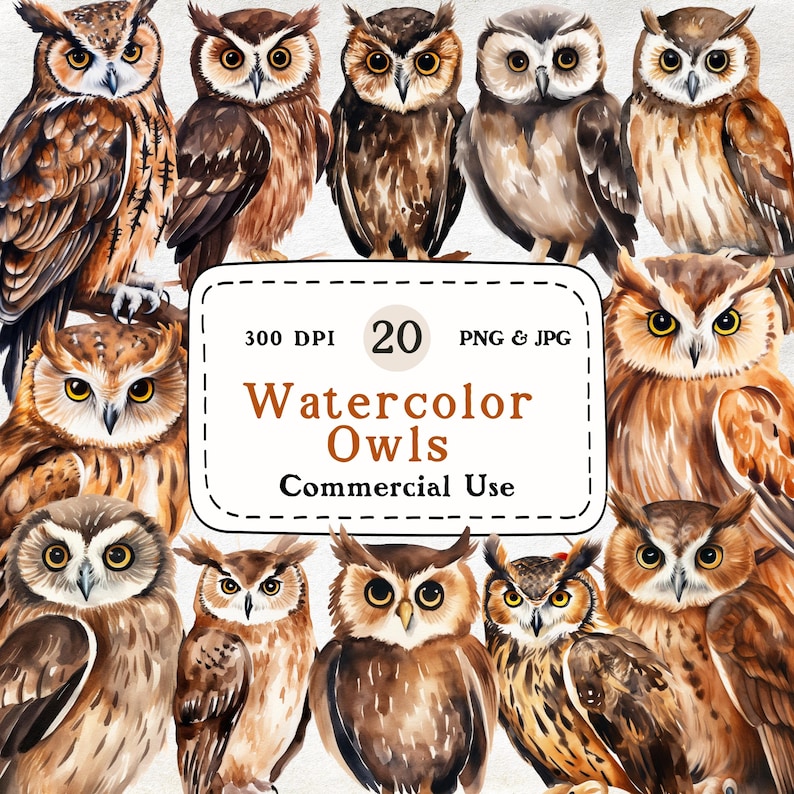 Watercolor Owl Clipart Set – 20 Autumn Illustrations (digital Download ...
