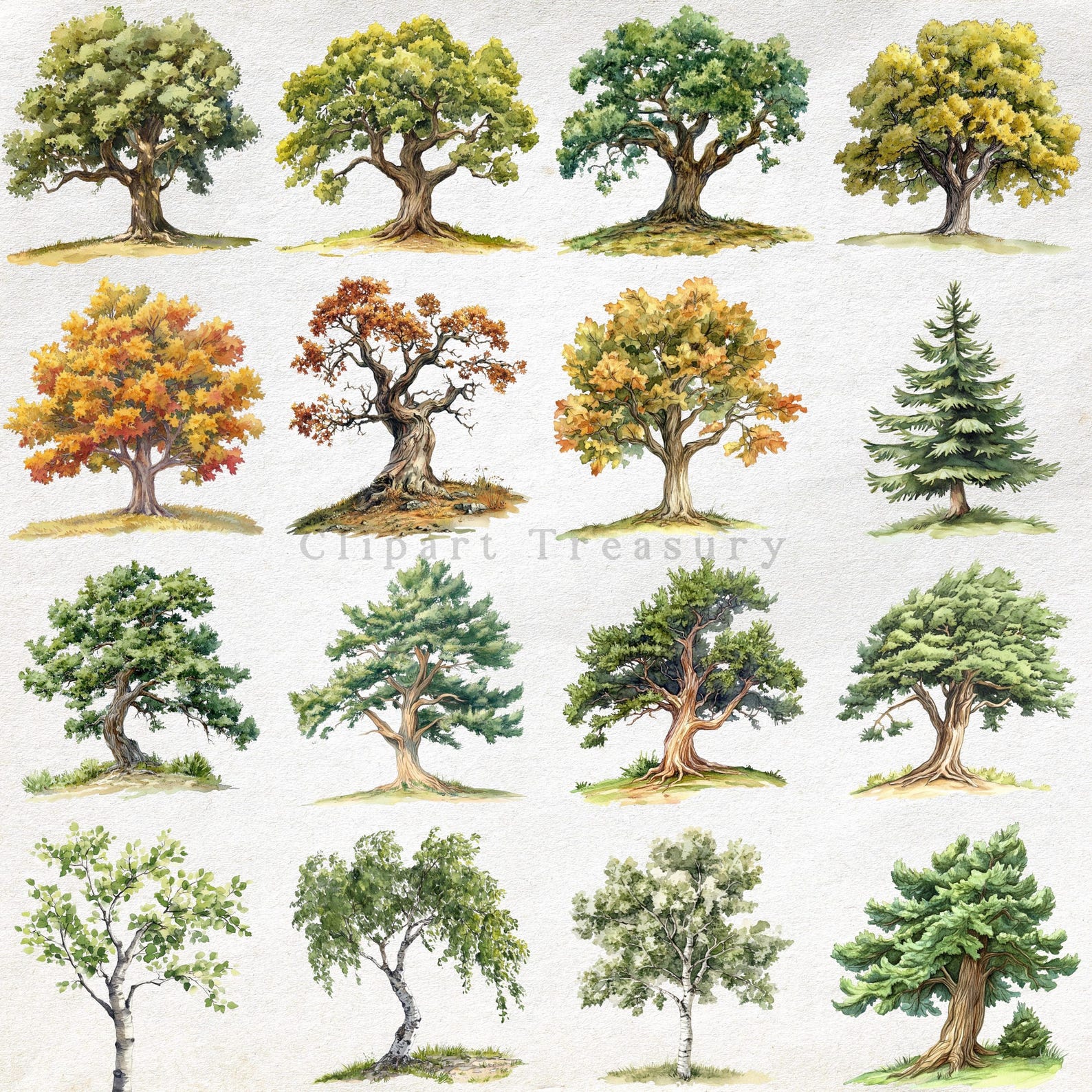 Trees 75 Watercolor Clipart Set, Tree Illustrations for Crafts, Nature ...