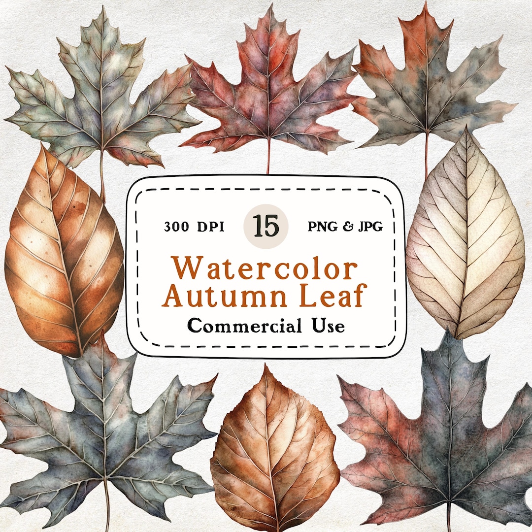 Autumn Leaves - 15 Watercolor Clipart Set, Maple Leaf, Dry Fall Leaves ...