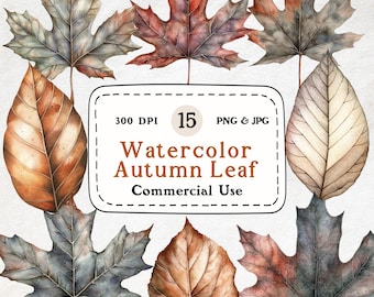 Pumpkins 20 Watercolor Clipart Set, Autumn Pumpkin, Fall Clipart, Dark ...