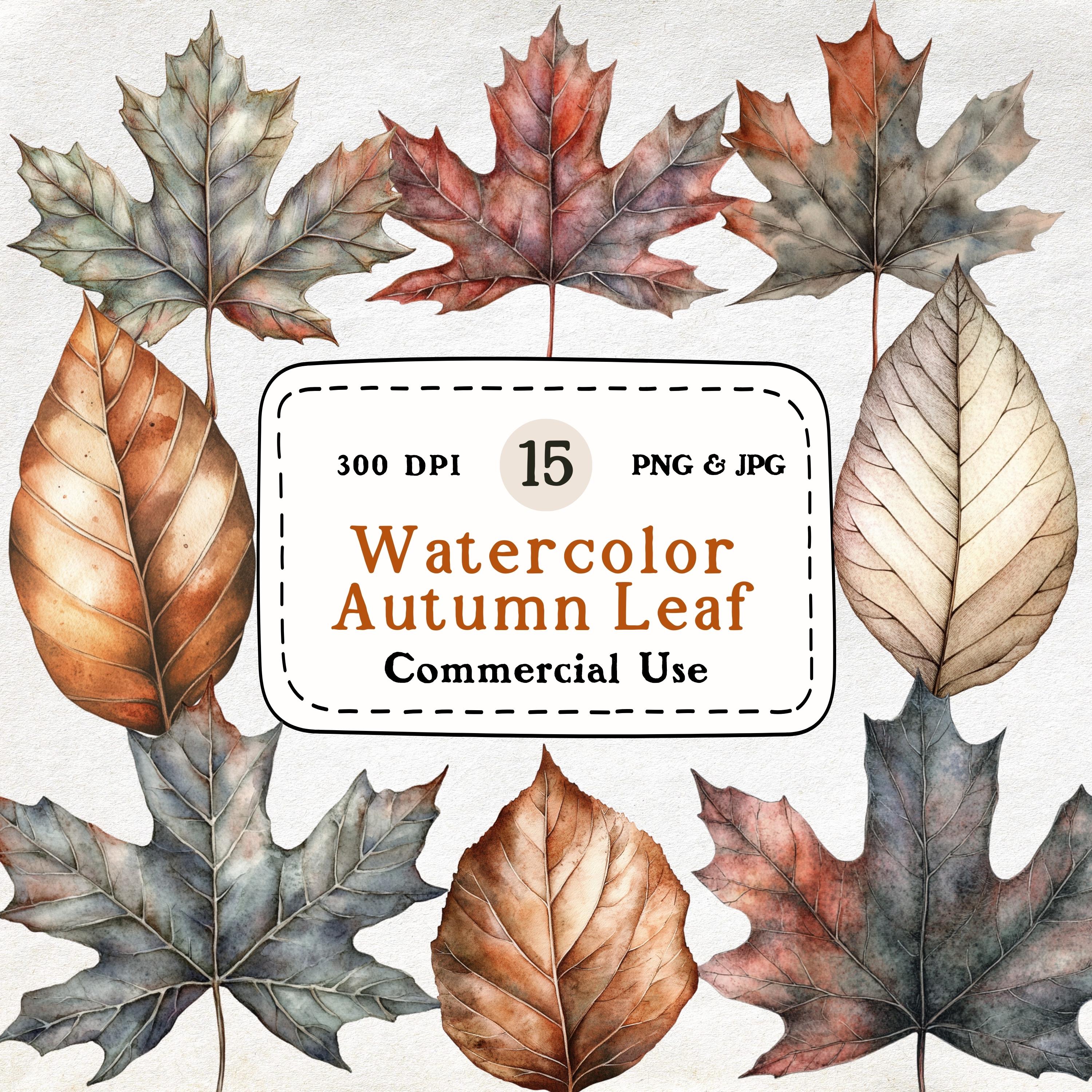 Watercolor Autumn Leaves Clipart – Fall Scrapbooking, Commercial Use ...
