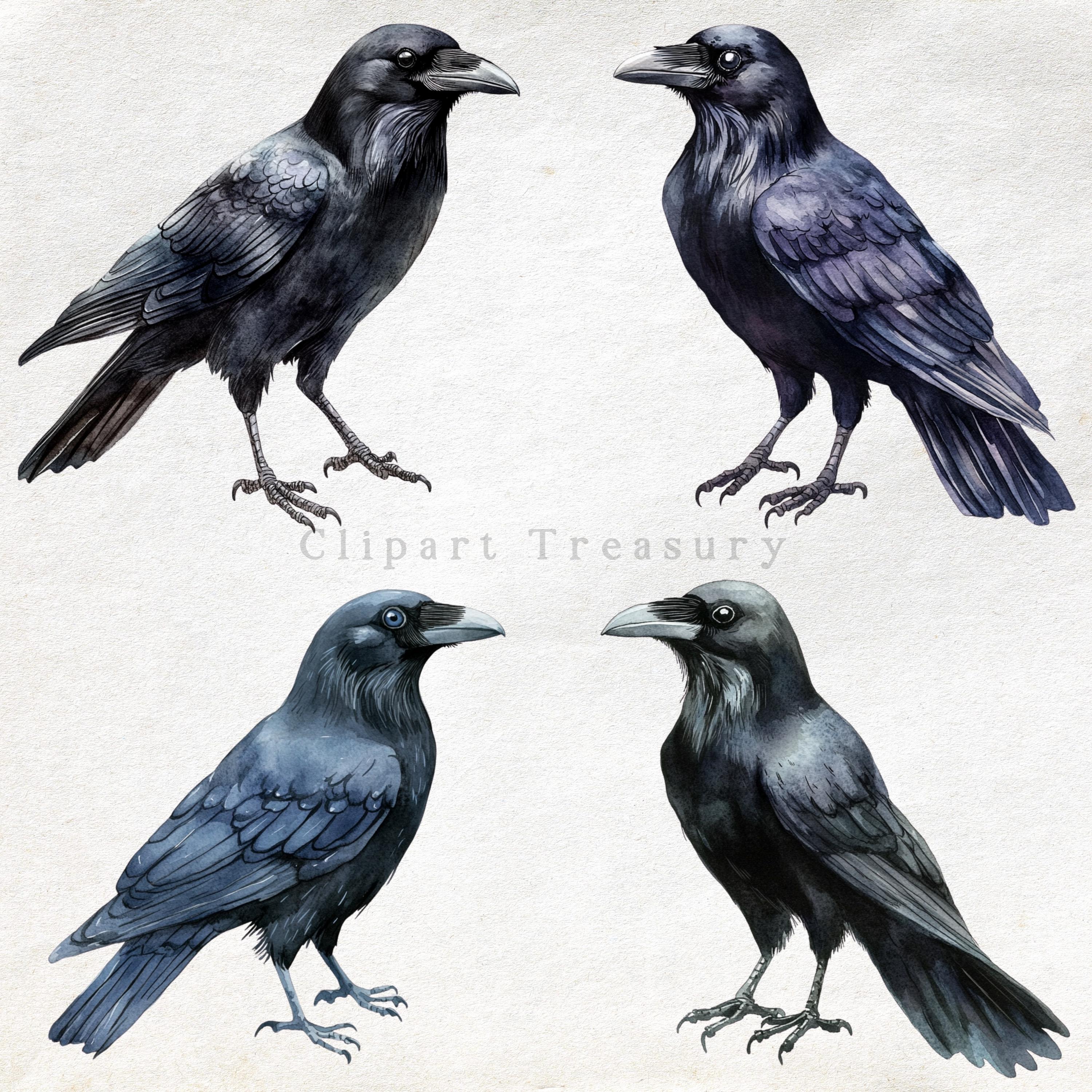 Ravens - 10 Watercolor Clipart Set, Raven Clip Art, Animal Clipart ...