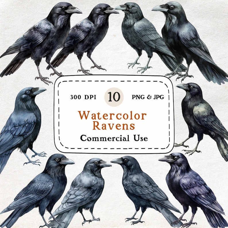 Ravens - 10 Watercolor Clipart Set, Raven Clip Art, Animal Clipart ...