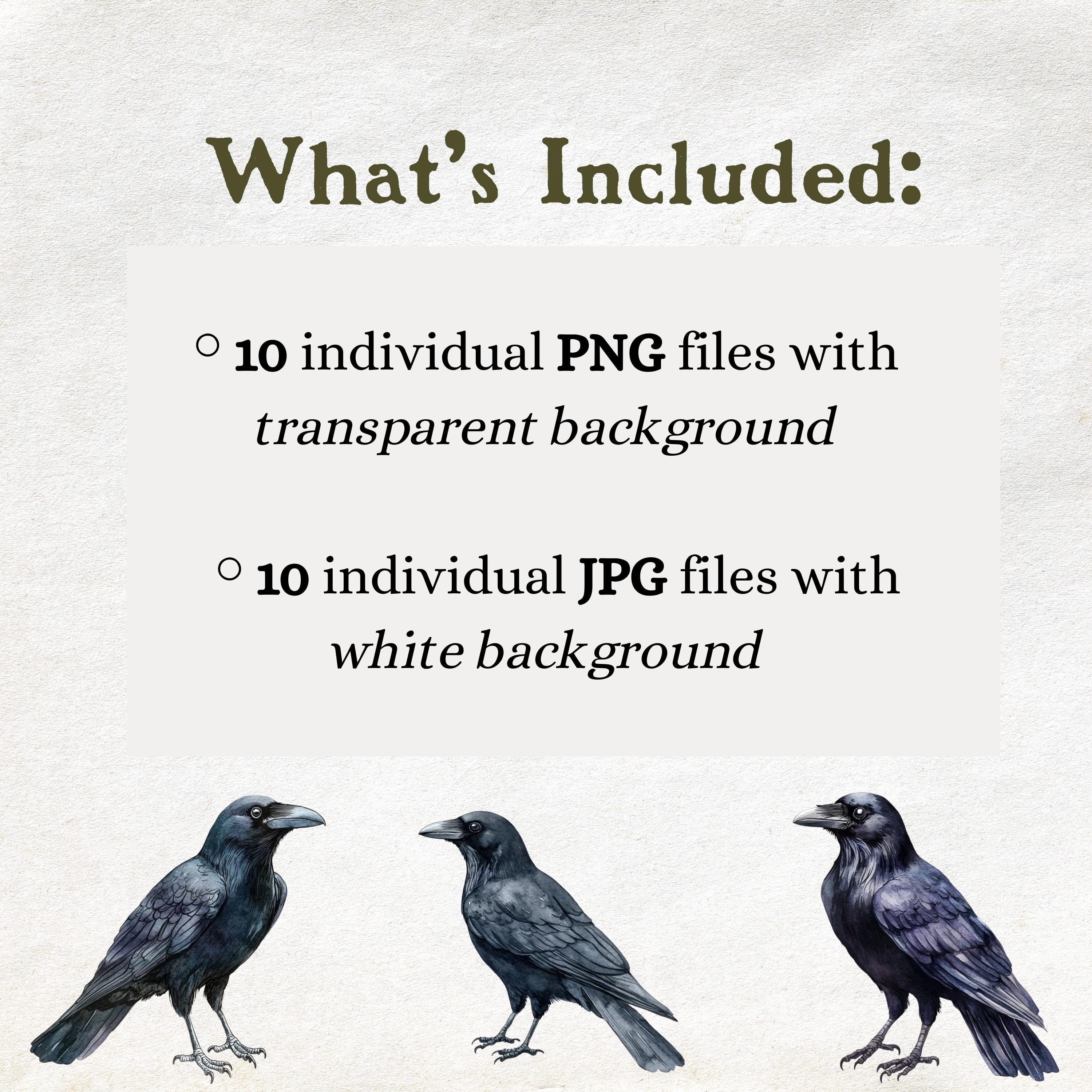 Ravens - 10 Watercolor Clipart Set, Raven Clip Art, Animal Clipart ...