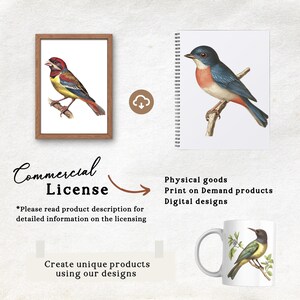 Birds - 10 Watercolor Clipart Set, Bird Clipart, Bird Illustration ...