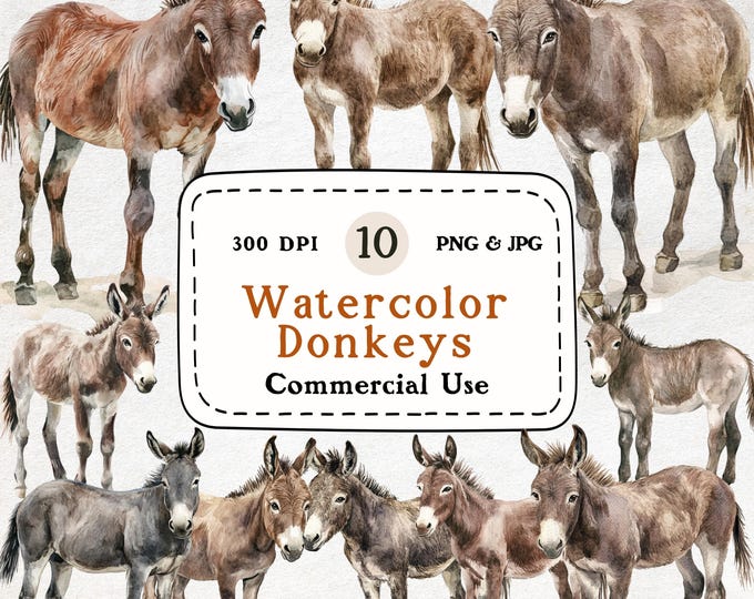 Donkey Clipart, Watercolor Donkey Clipart Digital Paper Commercial Use ...