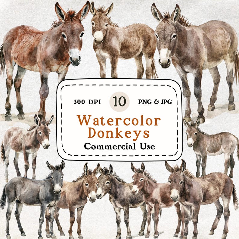 Donkeys - 10 Watercolor Clipart Set, Cute Donkey, Animal Clipart, 300 DPI, Digital Download ...