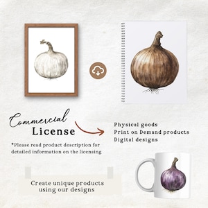Onions - 12 Watercolor Clipart Set, Vegetable Illustration, Onion ...