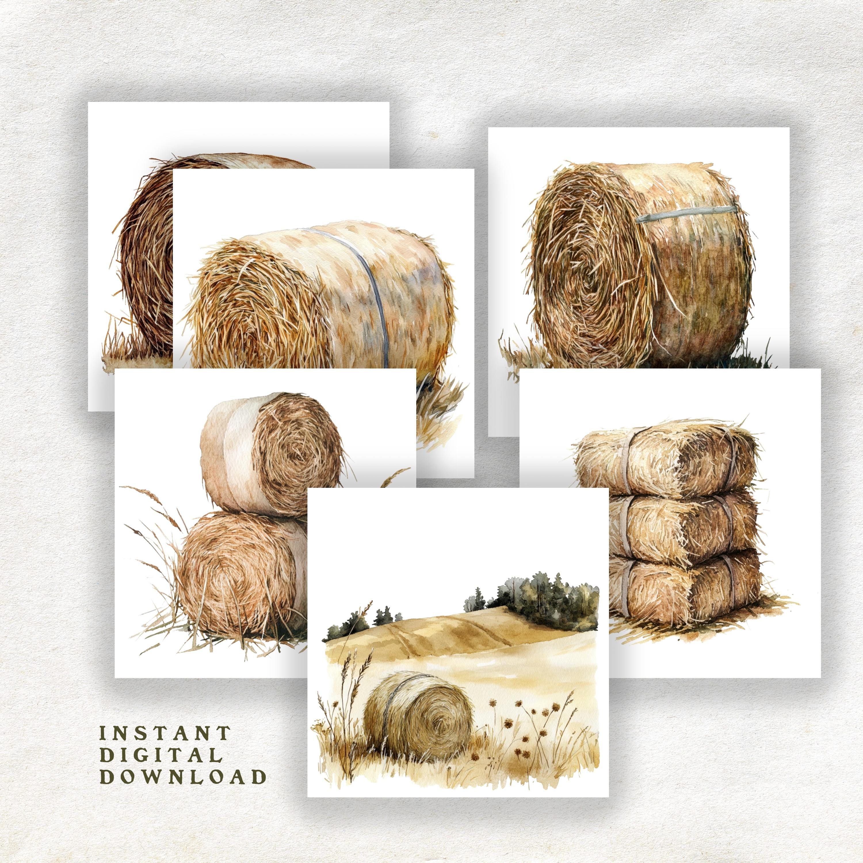 Watercolor Hay Bale Clipart Set – Autumn Farm Graphics (digital ...