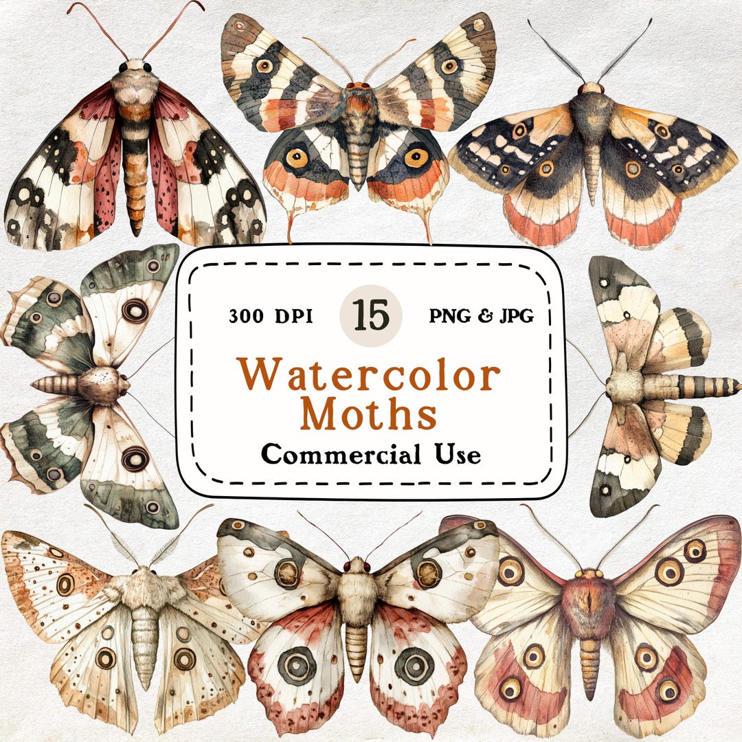 Watercolor Moth Clipart Set – 15 Mystical Insect PNG & JPG (digital ...
