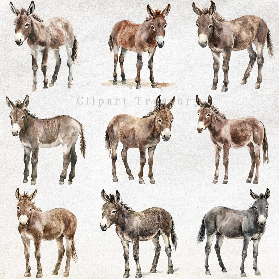 Donkeys - 10 Watercolor Clipart Set, Cute Donkey, Animal Clipart, 300 ...