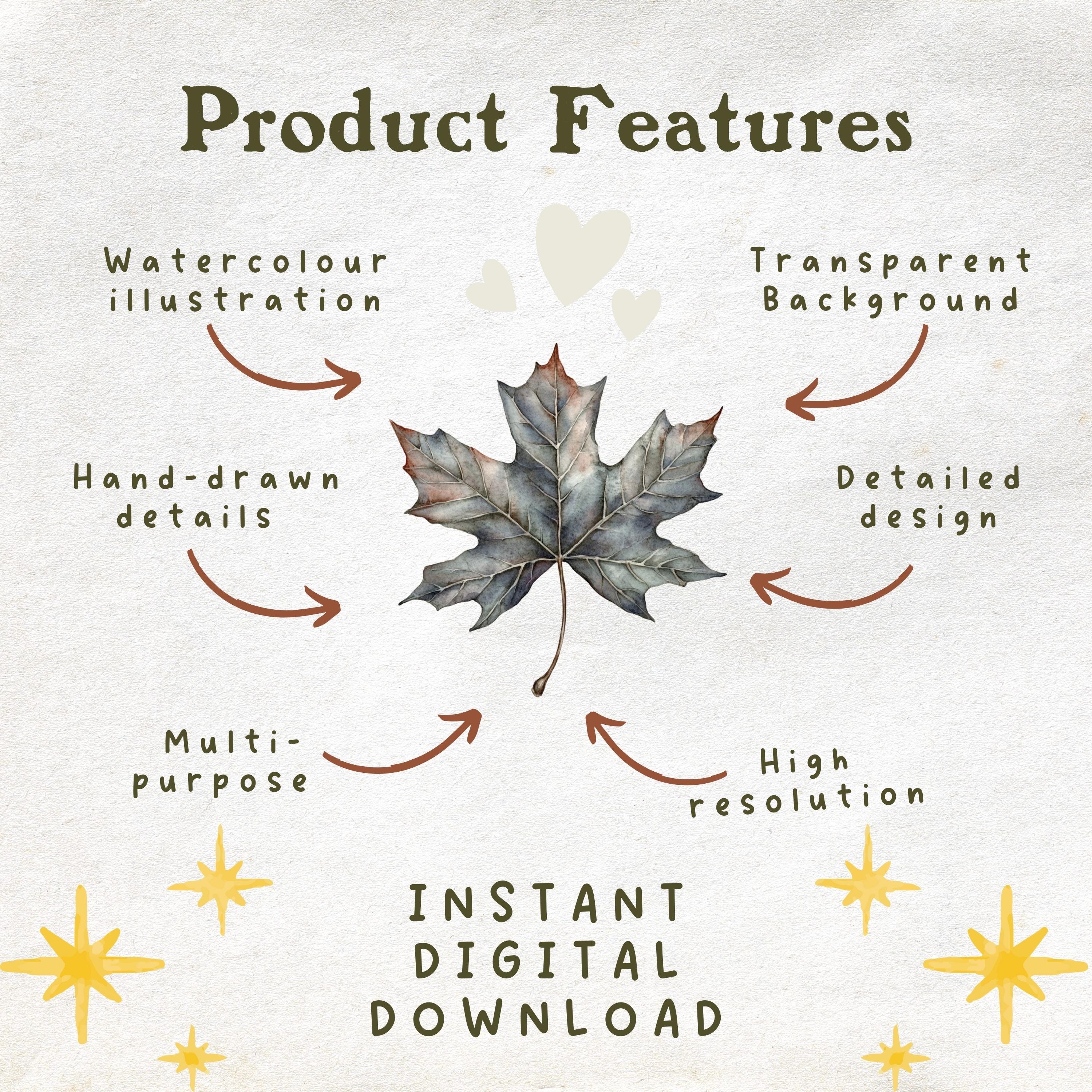Watercolor Autumn Leaves Clipart – Fall Scrapbooking, Commercial Use ...