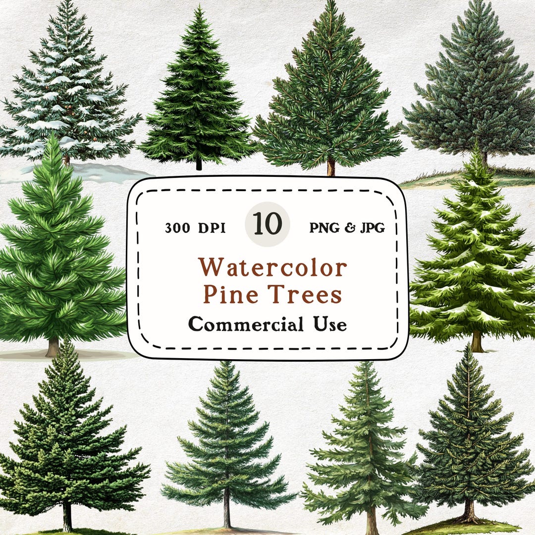Watercolor Pine Tree Clipart Bundle – Christmas Conifer PNG, Botanical ...
