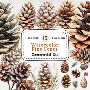 Pine Cones - 15 Watercolor Clipart Set, Forest, Woodland Decor, Winter ...