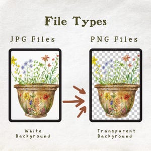 Potted Flowers - 40 Watercolor Clipart Set, Floral Clipart, Flowers in ...