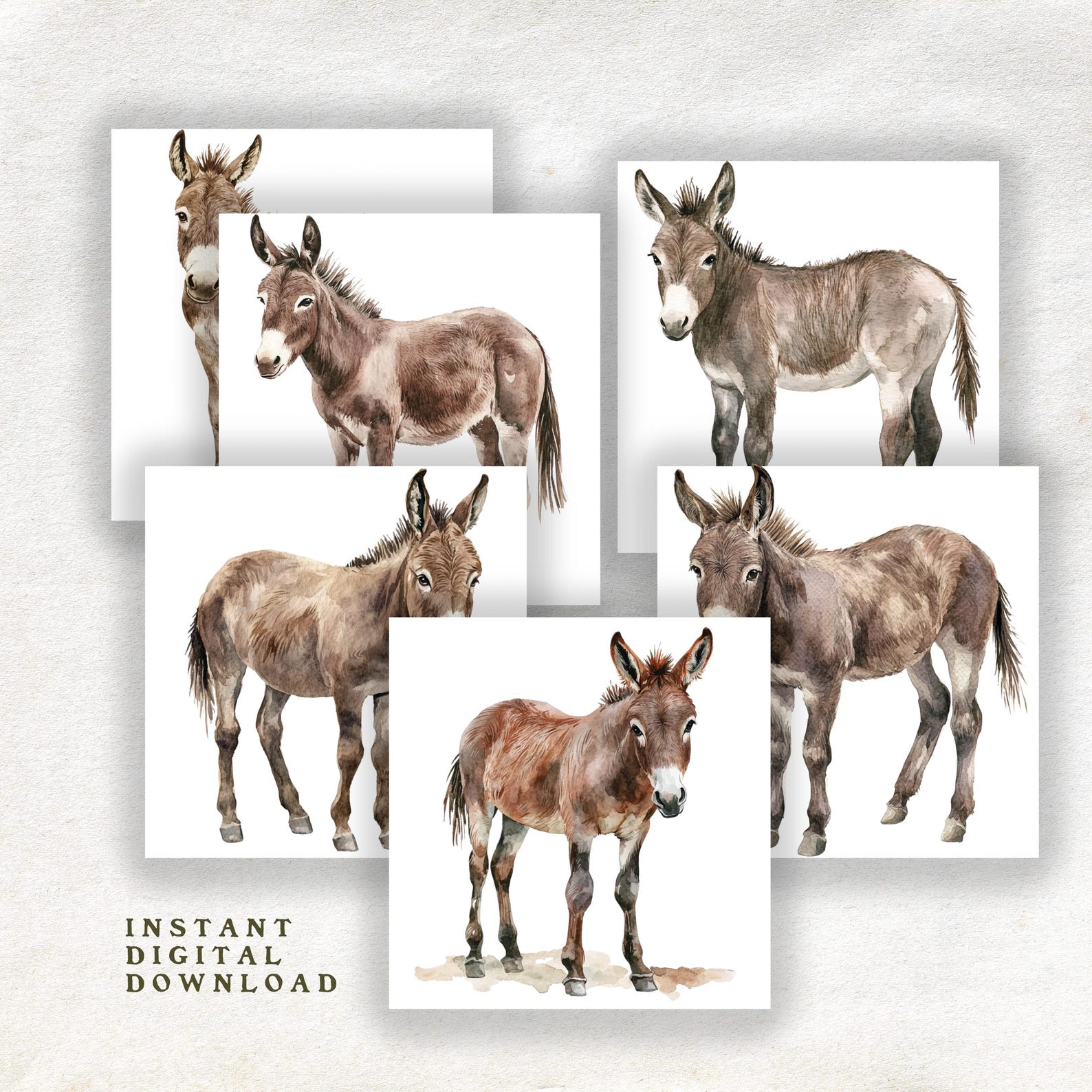 Donkeys - 10 Watercolor Clipart Set, Cute Donkey, Animal Clipart, 300 ...