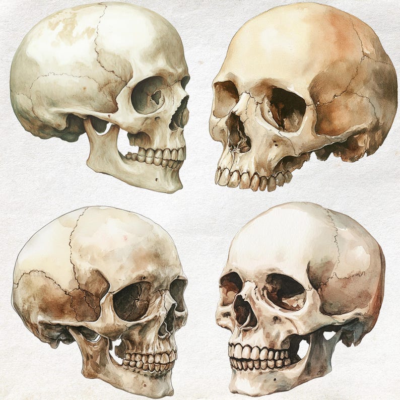 Watercolor Human Skull Clipart – Gothic Stone Skulls, 10 PNG JPG ...