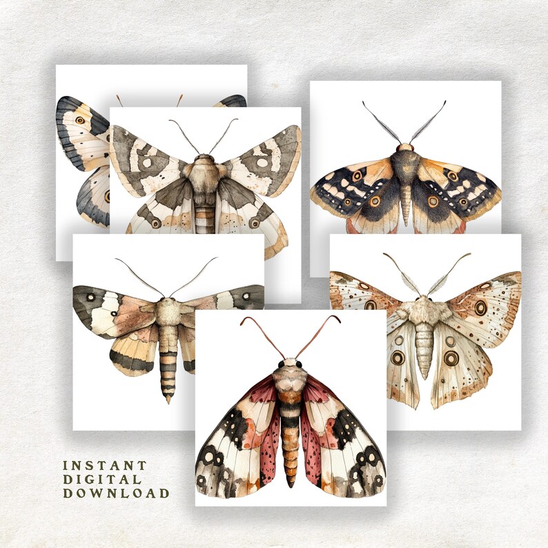 Watercolor Moth Clipart Set – 15 Mystical Insect PNG & JPG (digital ...