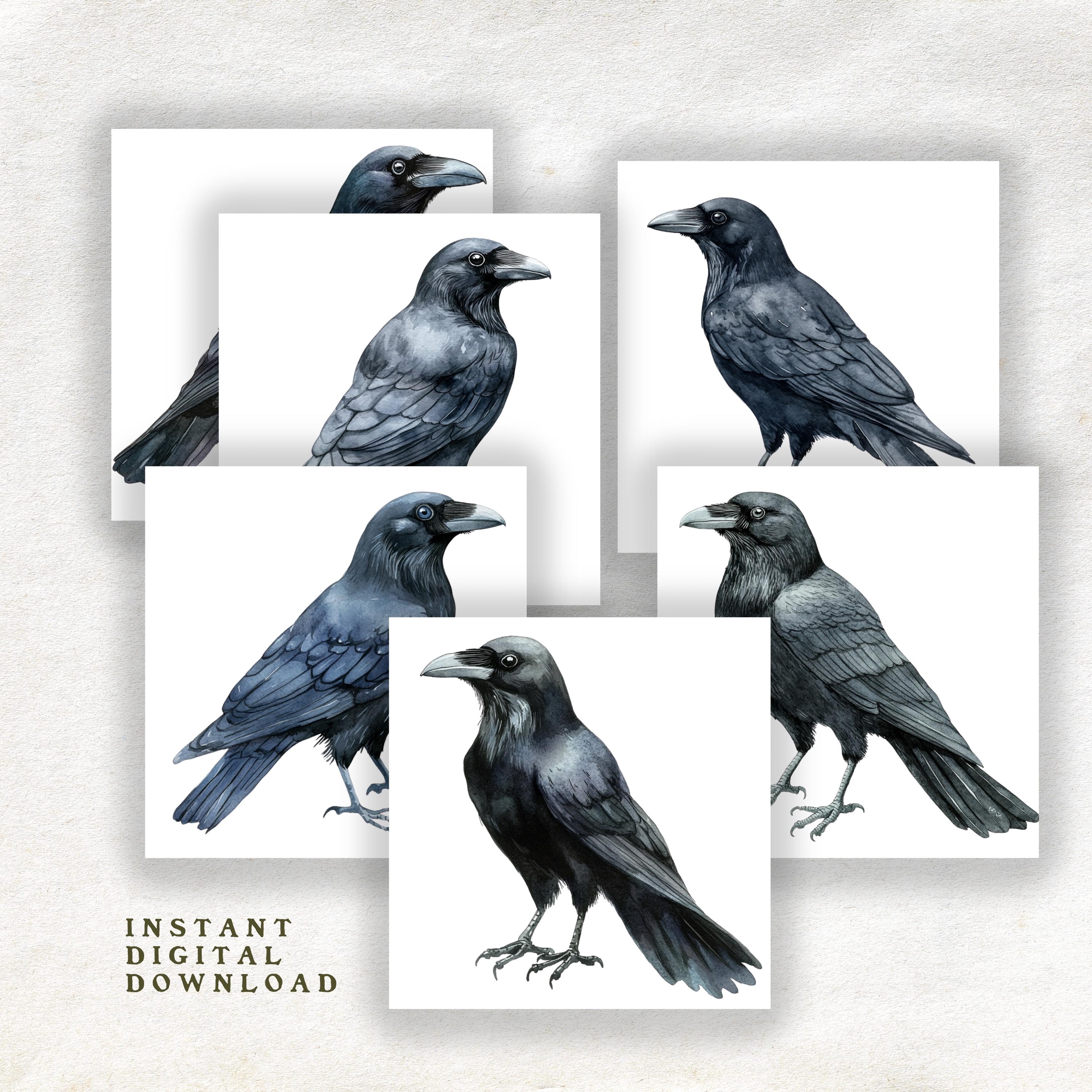 Ravens - 10 Watercolor Clipart Set, Raven Clip Art, Animal Clipart ...