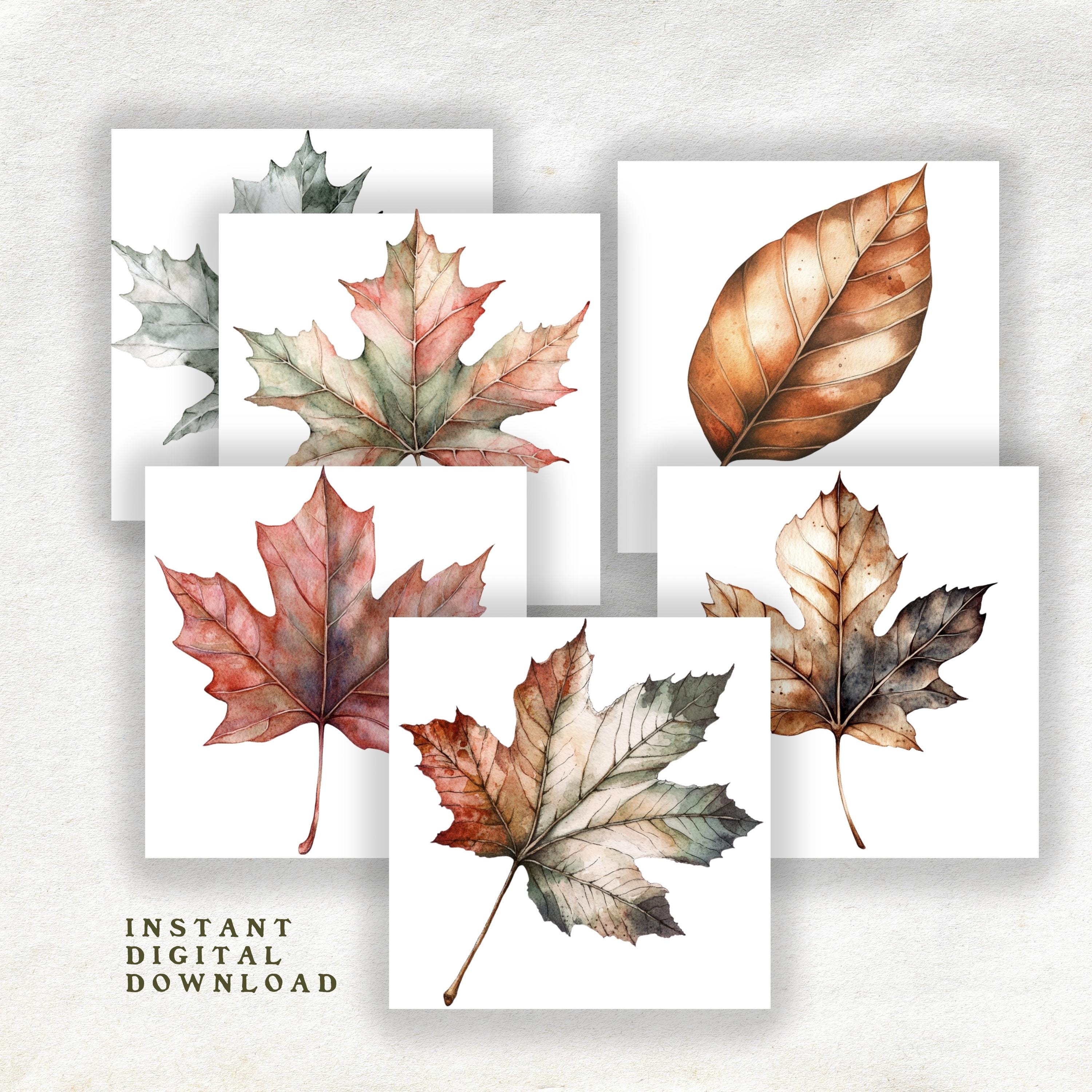 Watercolor Autumn Leaves Clipart – Fall Scrapbooking, Commercial Use ...