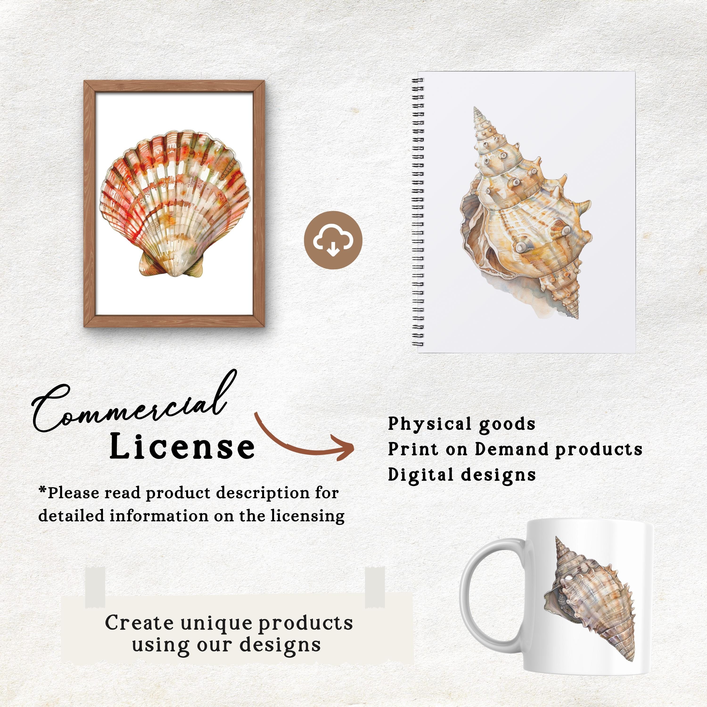 Seashells 20 Watercolor Clipart Set, Nautical Clipart, Summer & Beach ...