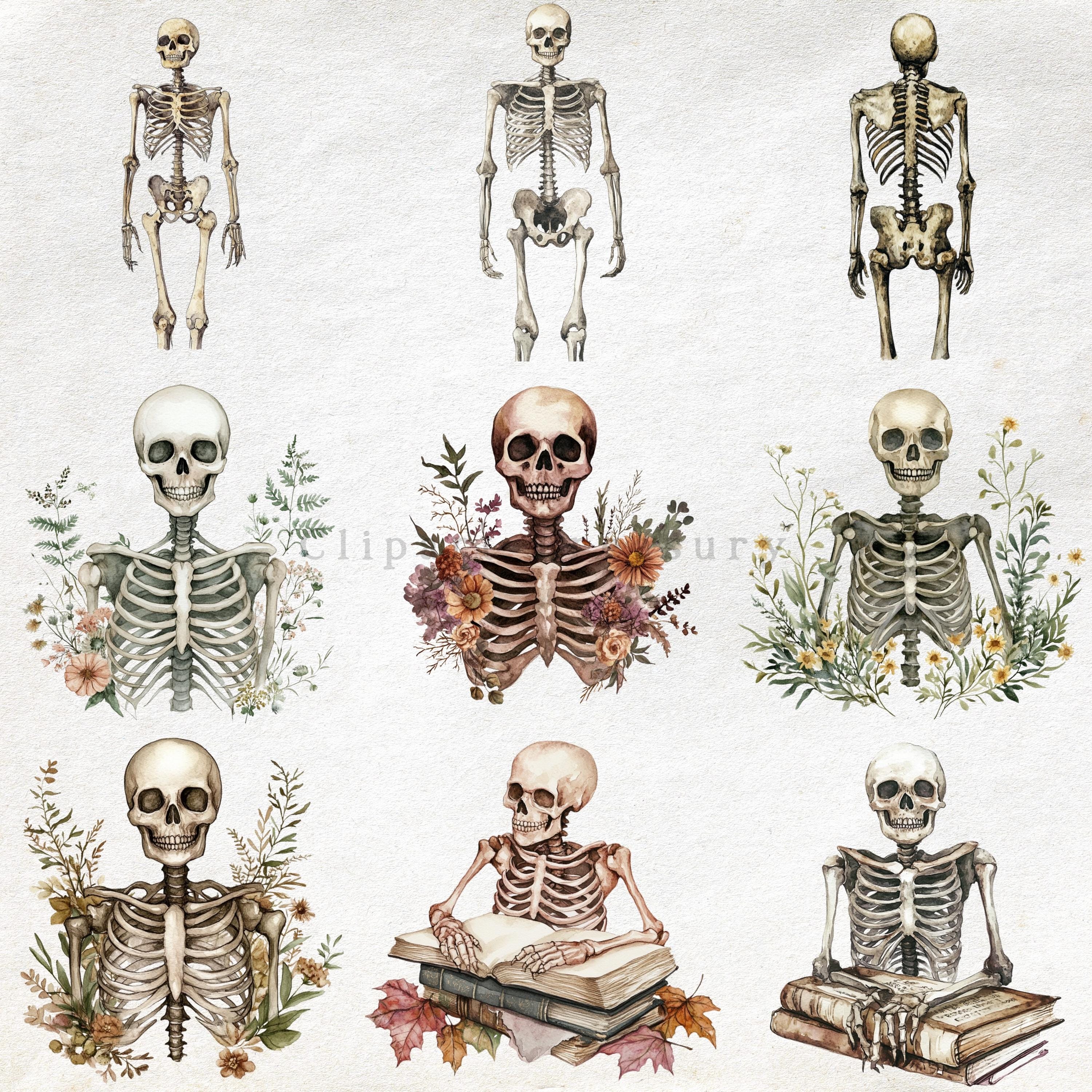 Skeletons - 10 Watercolor Clipart Set, Halloween, Witchcraft, Mystical ...