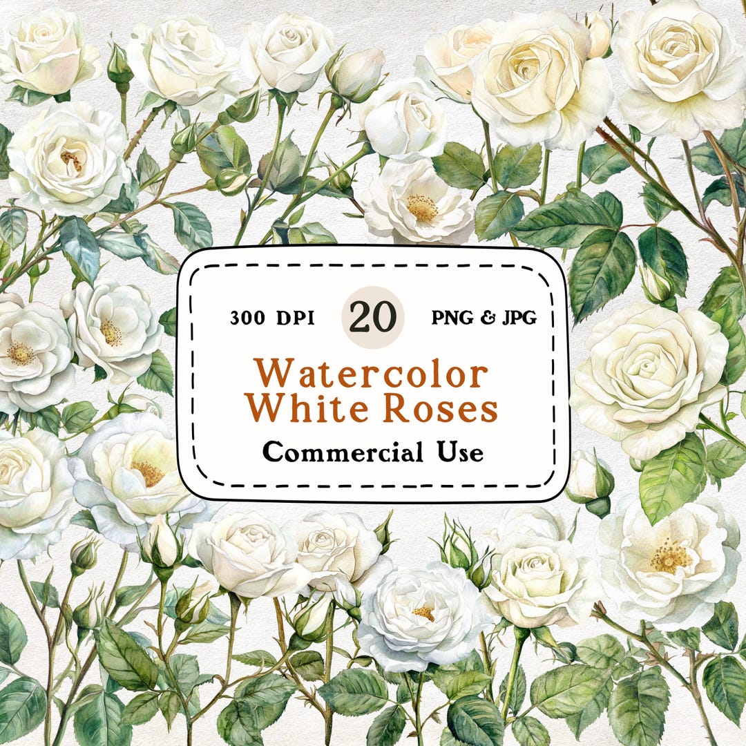 White Roses - 20 Watercolor Clipart Set, Rose Clipart, Flower ...