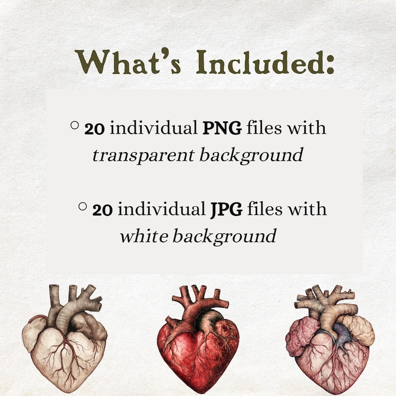 Heart - 20 Watercolor Clipart Set, Human Heart PNG, Anatomical Heart ...