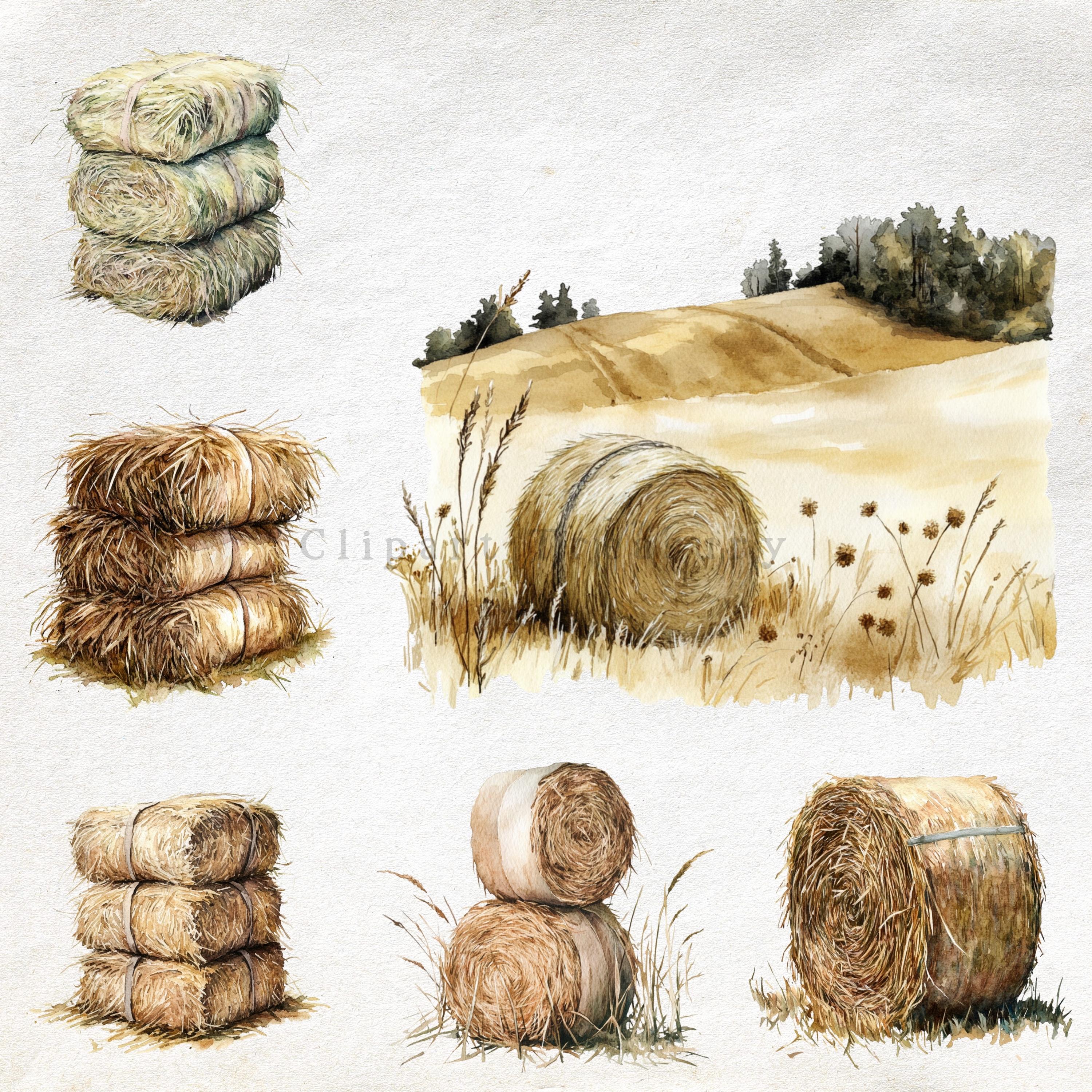 Watercolor Hay Bale Clipart Set – Autumn Farm Graphics (digital ...