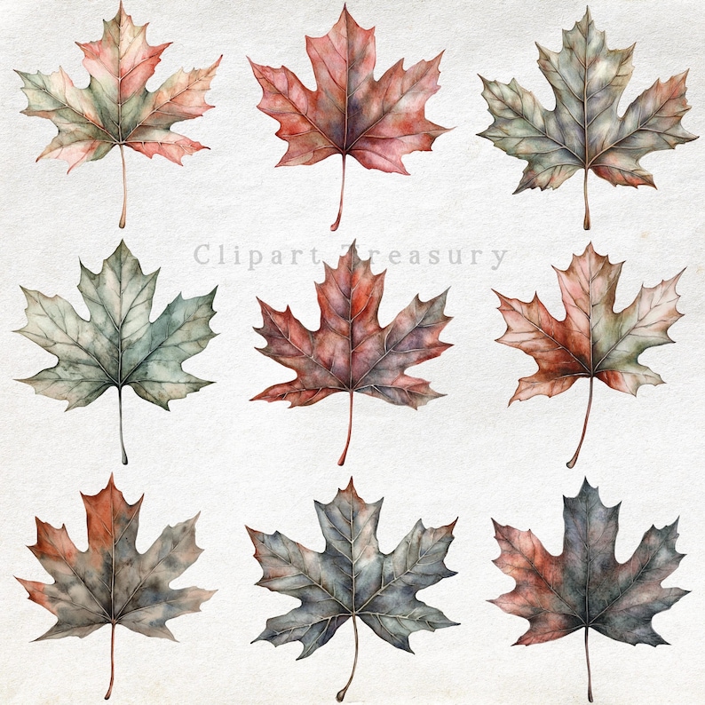 Watercolor Autumn Leaves Clipart – Fall Scrapbooking, Commercial Use ...