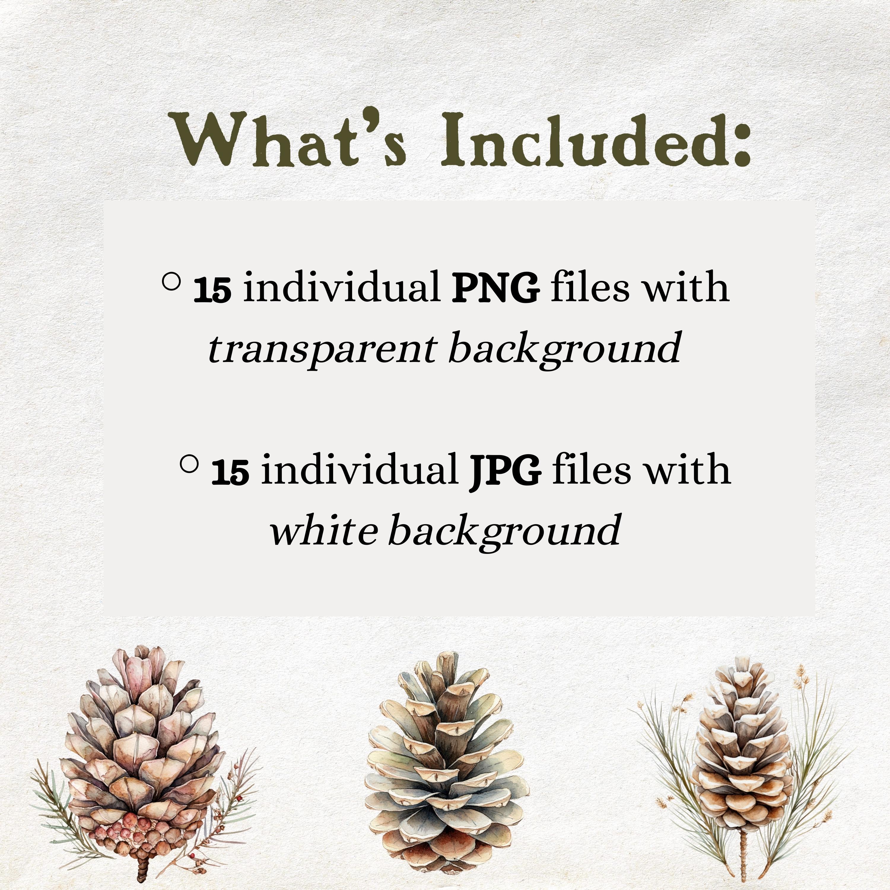 Pine Cones - 15 Watercolor Clipart Set, Forest, Woodland Decor, Winter ...