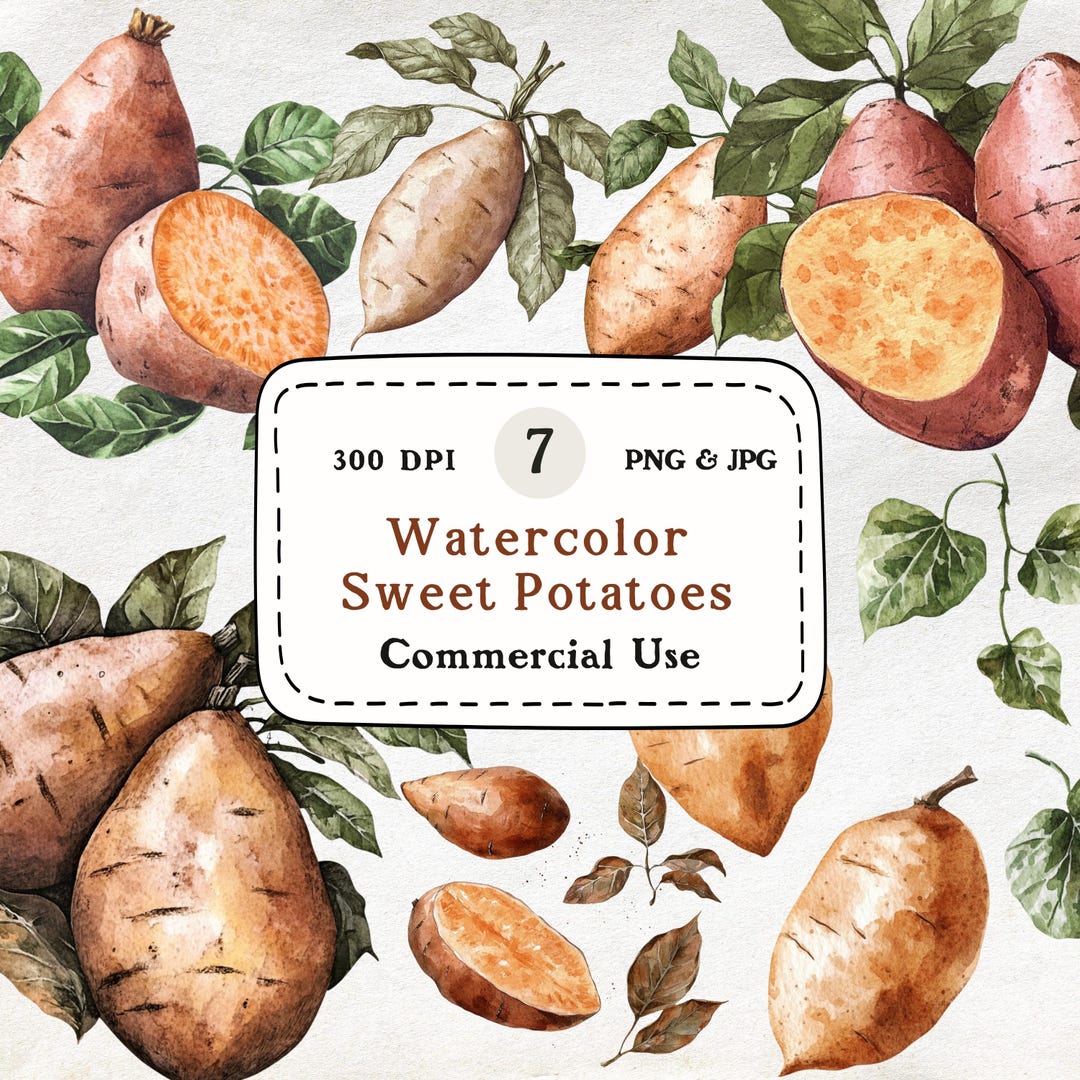 Sweet Potatoes - 7 Watercolor Clipart Set, Botanical Illustration, Food ...