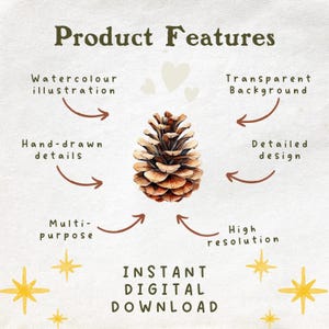 Pine Cones - 15 Watercolor Clipart Set, Forest, Woodland Decor, Winter ...