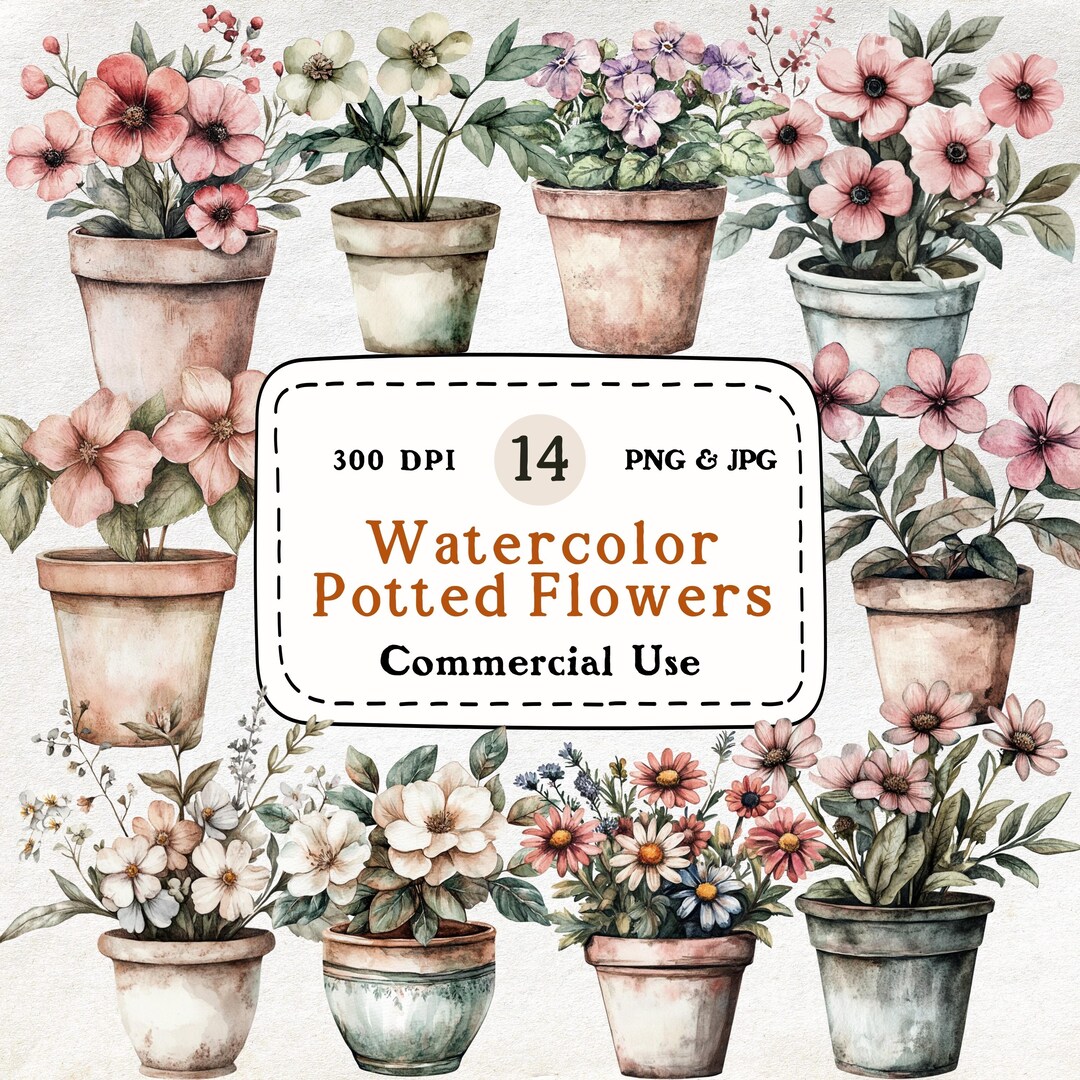 Watercolor Potted Flowers Clipart Set – 14 PNG & JPG (digital Download ...