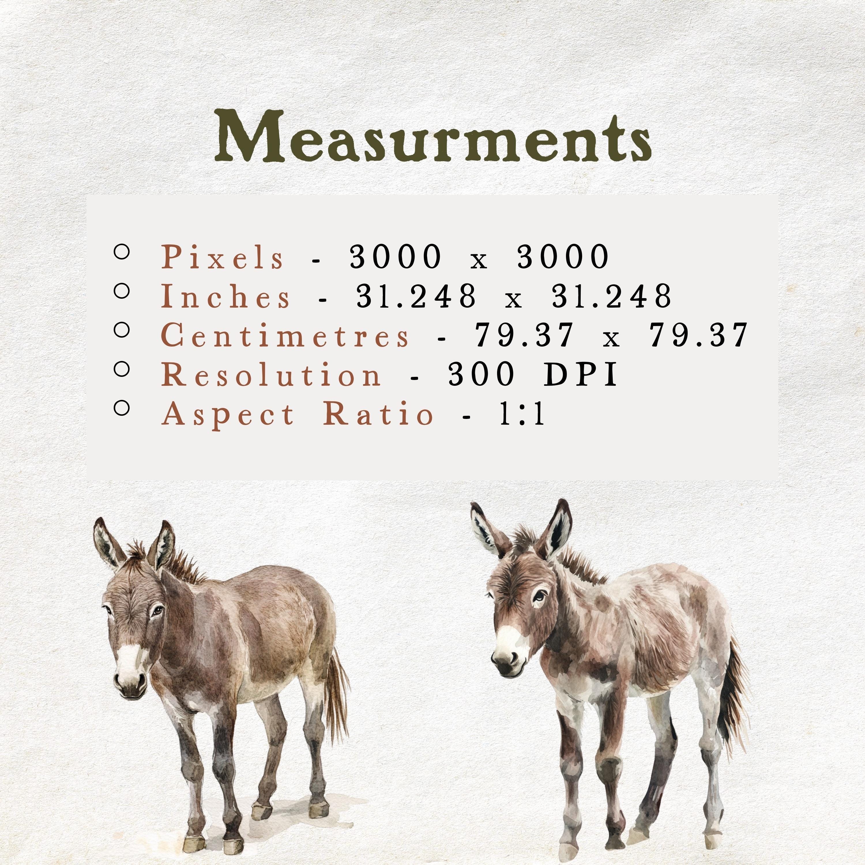 Donkeys - 10 Watercolor Clipart Set, Cute Donkey, Animal Clipart, 300 ...