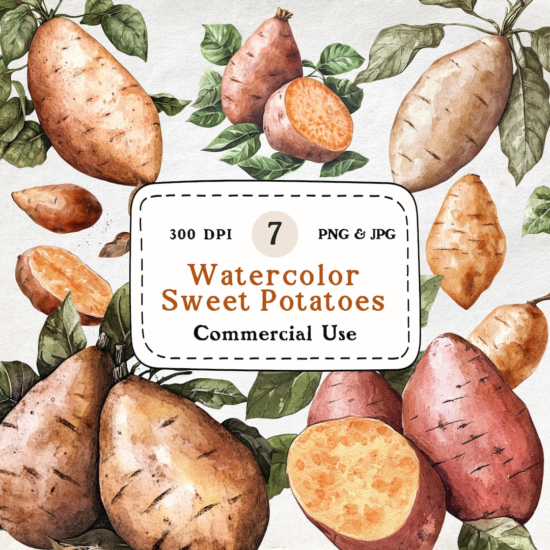 Sweet Potatoes - 7 Watercolor Clipart Set, Botanical Illustration, Food ...