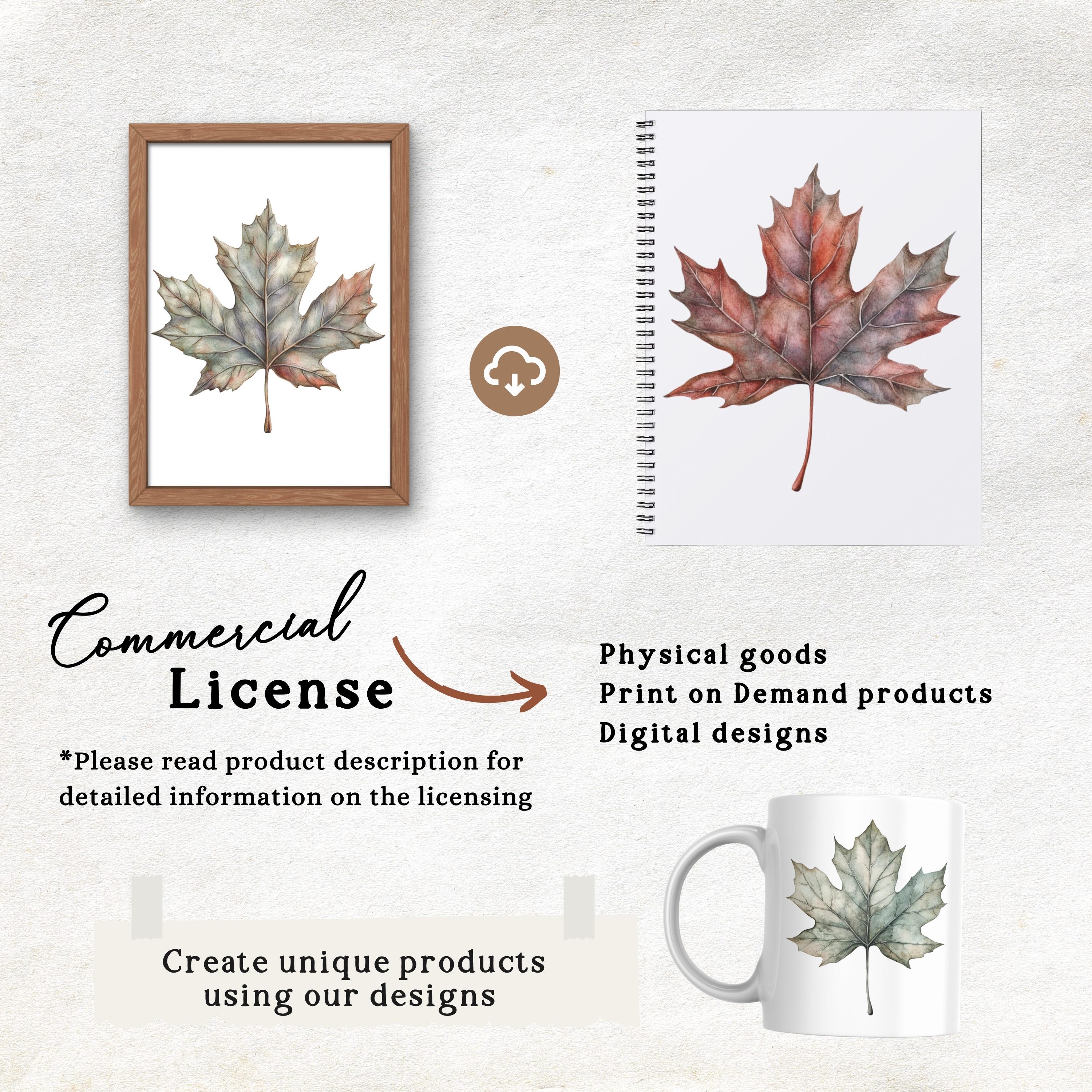 Watercolor Autumn Leaves Clipart – Fall Scrapbooking, Commercial Use ...
