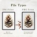 Pine Cones - 15 Watercolor Clipart Set, Forest, Woodland Decor, Winter ...