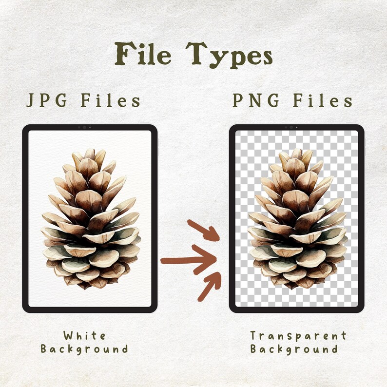 Pine Cones - 15 Watercolor Clipart Set, Forest, Woodland Decor, Winter ...