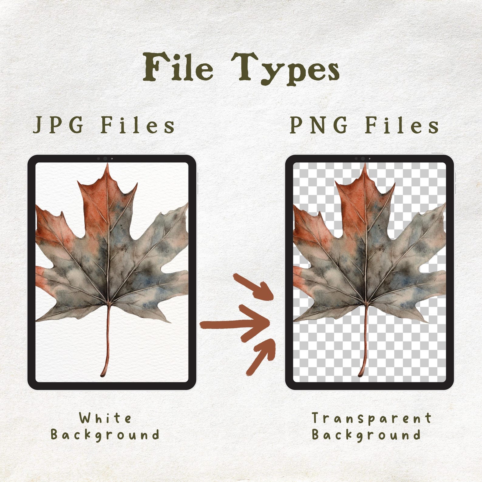 Watercolor Autumn Leaves Clipart – Fall Scrapbooking, Commercial Use ...