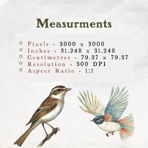 Birds - 10 Watercolor Clipart Set, Bird Clipart, Bird Illustration ...