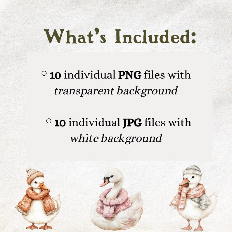 Cute Swans - 10 Watercolor Clipart Set, Cute Swan Clip Art, Animal ...