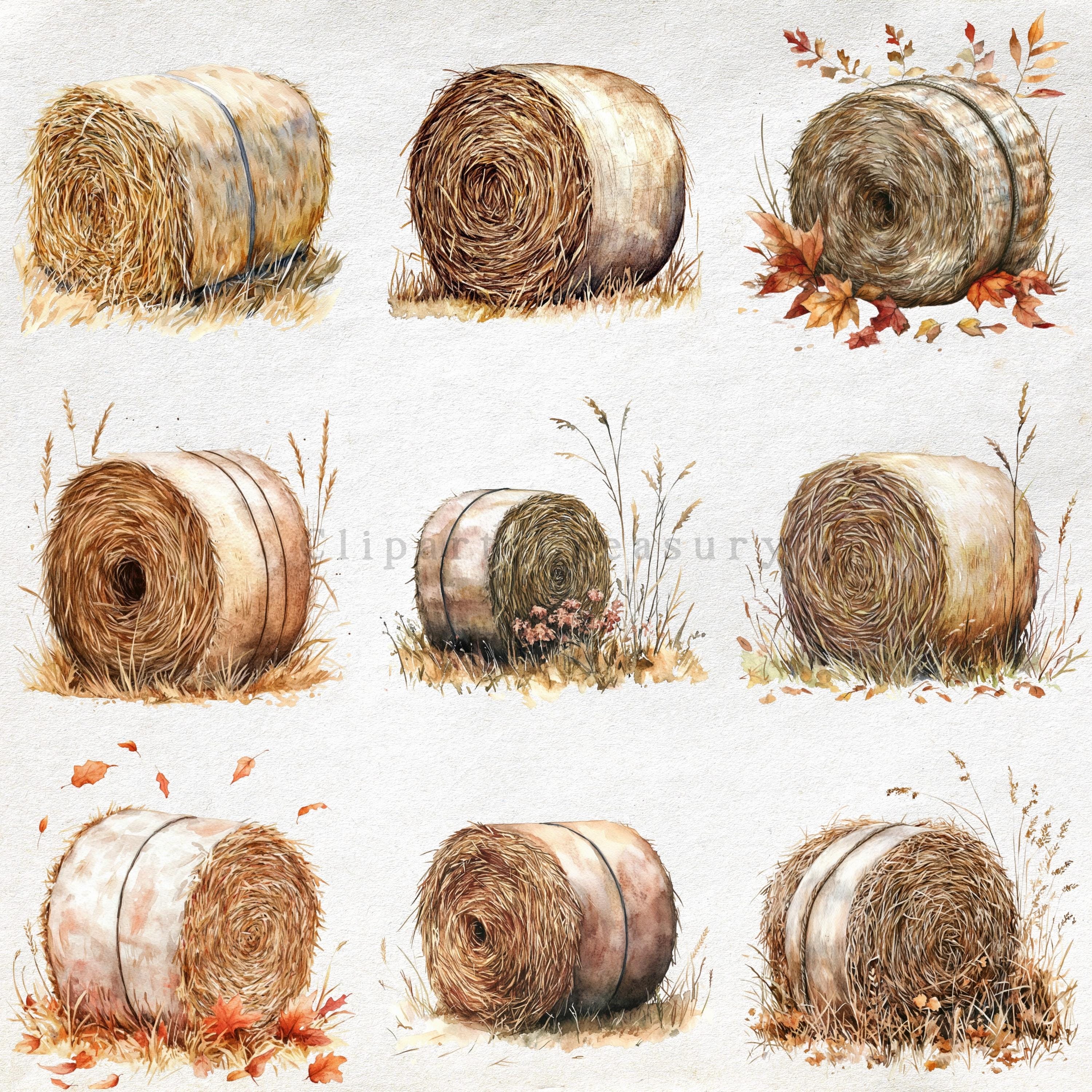 Watercolor Hay Bale Clipart Set – Autumn Farm Graphics (digital ...