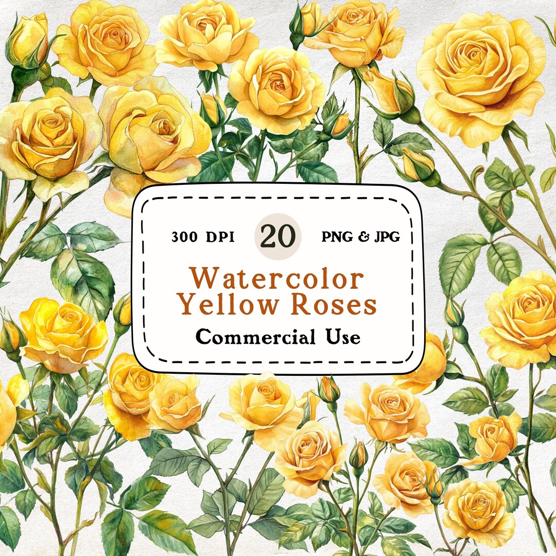 Yellow Roses - 20 Watercolor Clipart Set, Yellow Rose Clipart, Flower ...