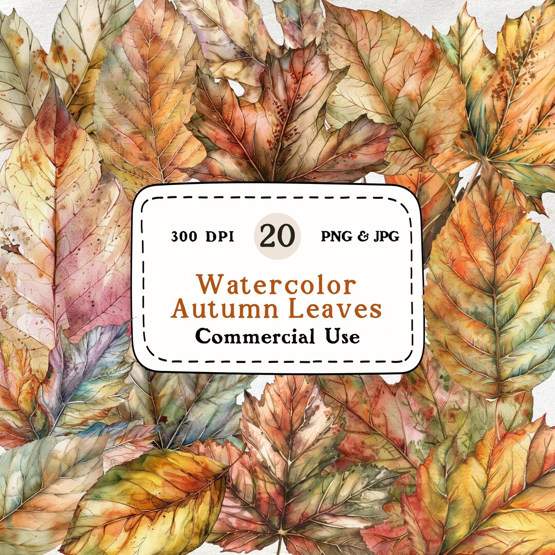 Autumn Leaves - 20 Watercolor Clipart Set, Maple Leaf, Dry Fall Leaves ...